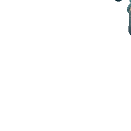 LocalMaps
